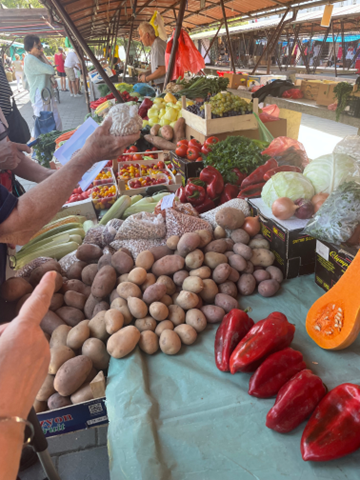 Lessons from Chicken Paprikash – Kathryn Ransom