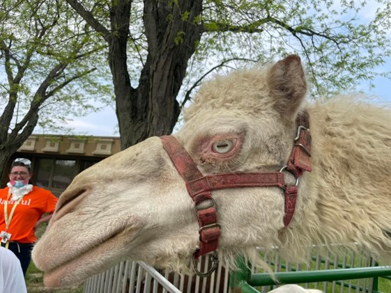 Share a Bagel – Kathryn Ransom